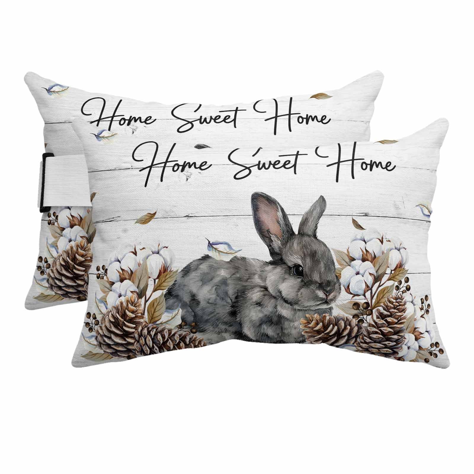 2PCS Outdoor Pillow for Chaise Lounge Chair Farm Rabbit Pine Cone Berry ...