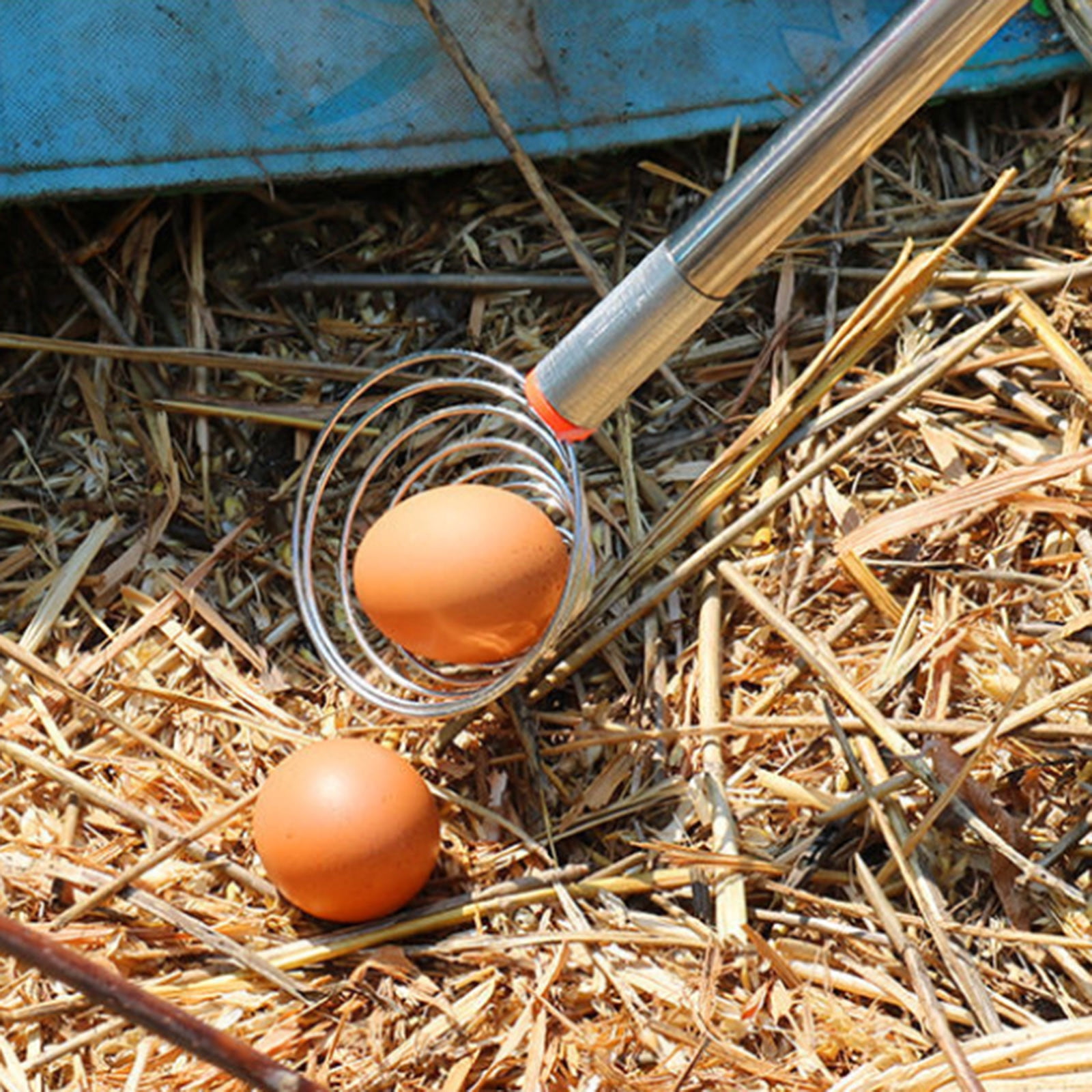 2PCS Peanut Picker, Egg Grabber, Nut Gatherer, Stainless Steel ...