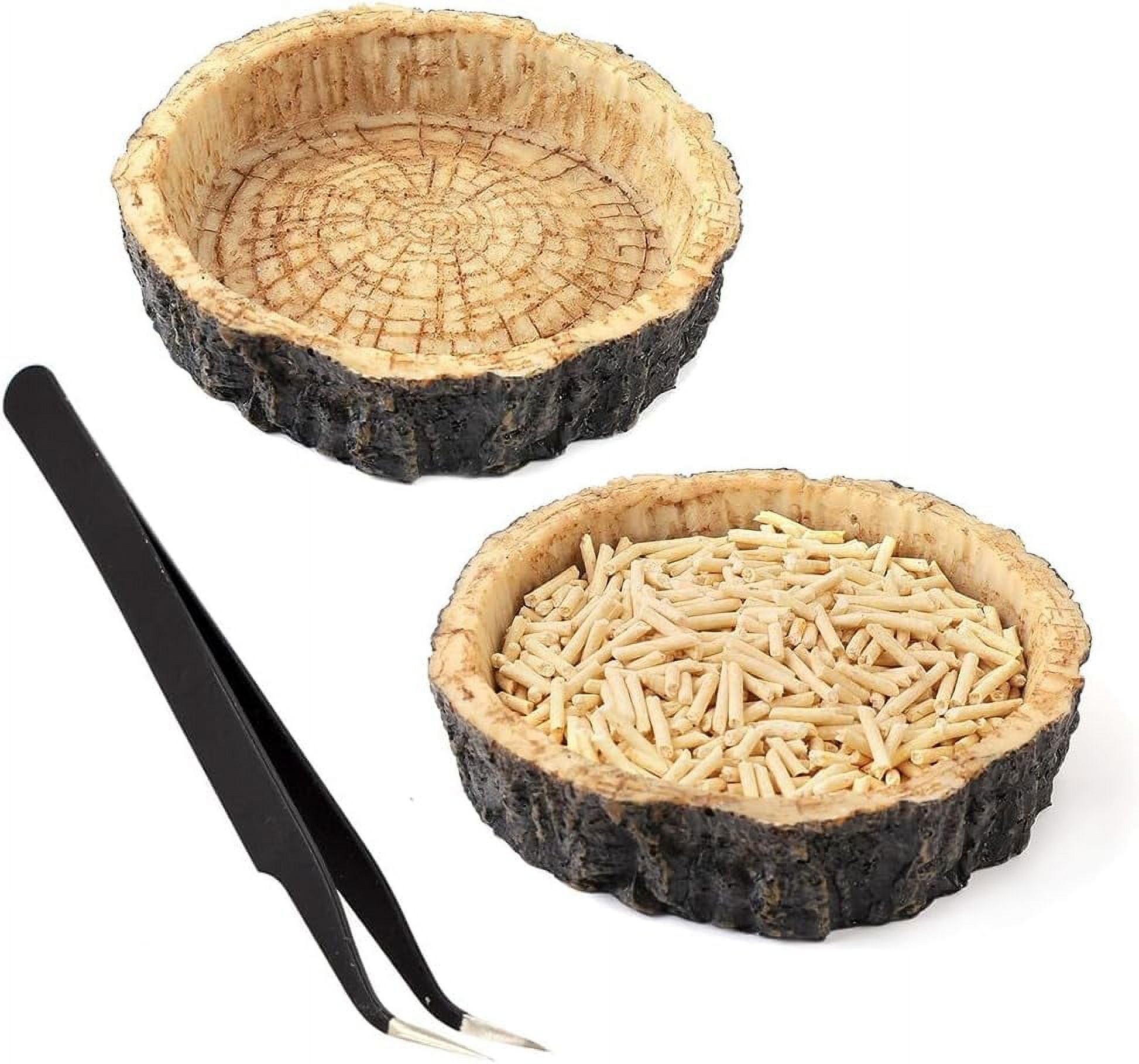 2PCS Reptile Water Dish Food Bowl Set Reptile Feeder Food and Water ...