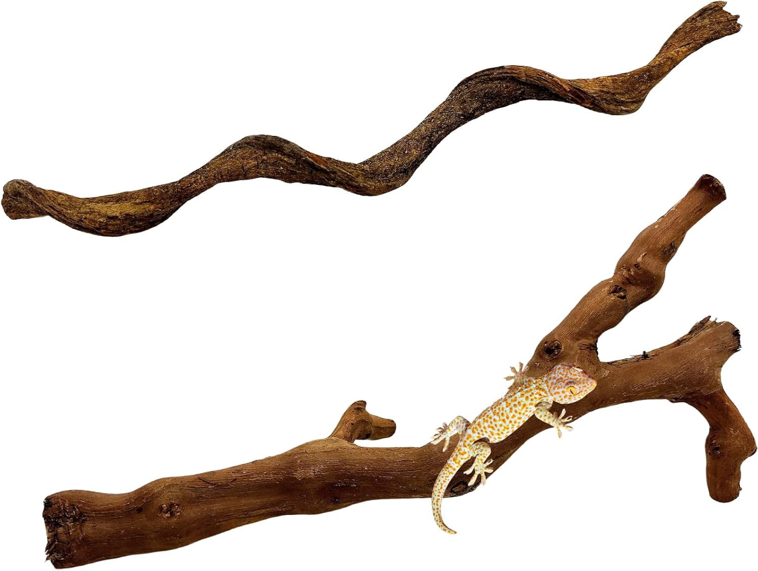 2PCS Reptile Wood Branches, Snake Climbing Branch, Bearded Dragon ...