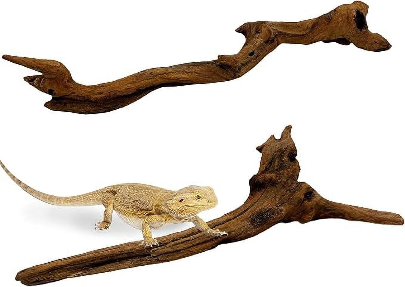 2PCS Snake Climbing Branches,Reptile Natural Coral Driftwood Branches ...