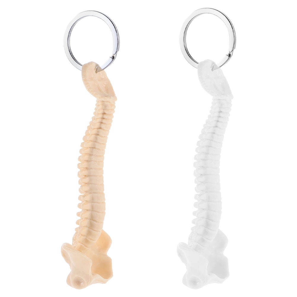 2PCS Spine Keychain Human Mini Ring For Display Teaching Model ...