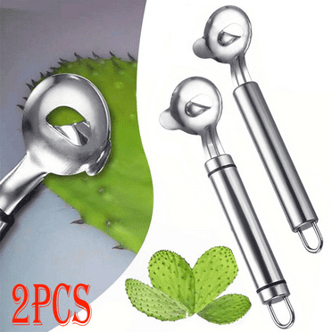 WYBXZ 2024 New Cactus Peeler, Manual Cactus Thorn Removal Cutter ...