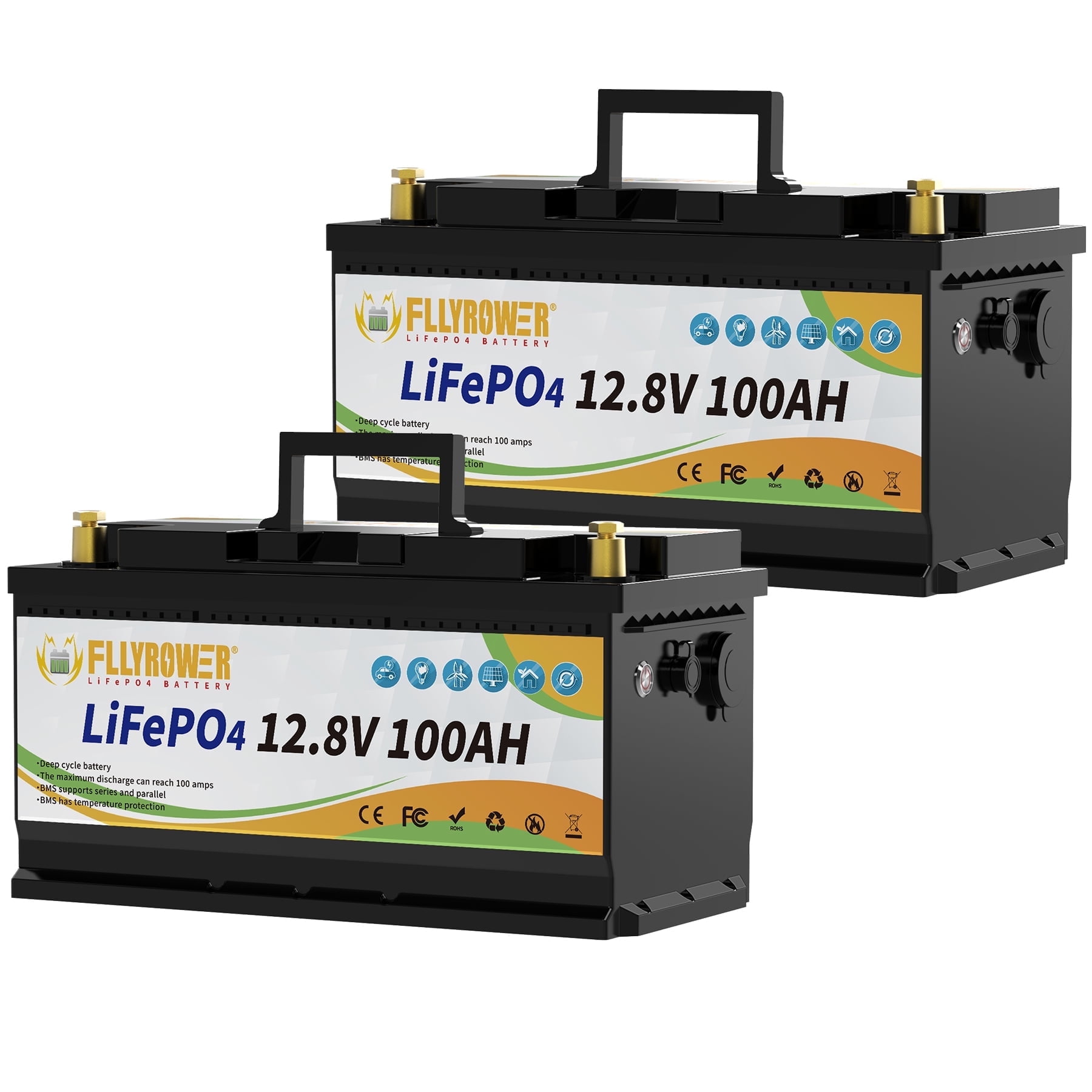 2 Pack 12V 100Ah LiFePO4 Battery with Charger,Lithium Batteries with ...