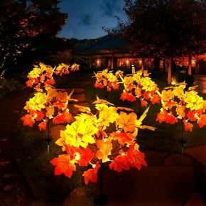 Fall Outdoor Solar Lights