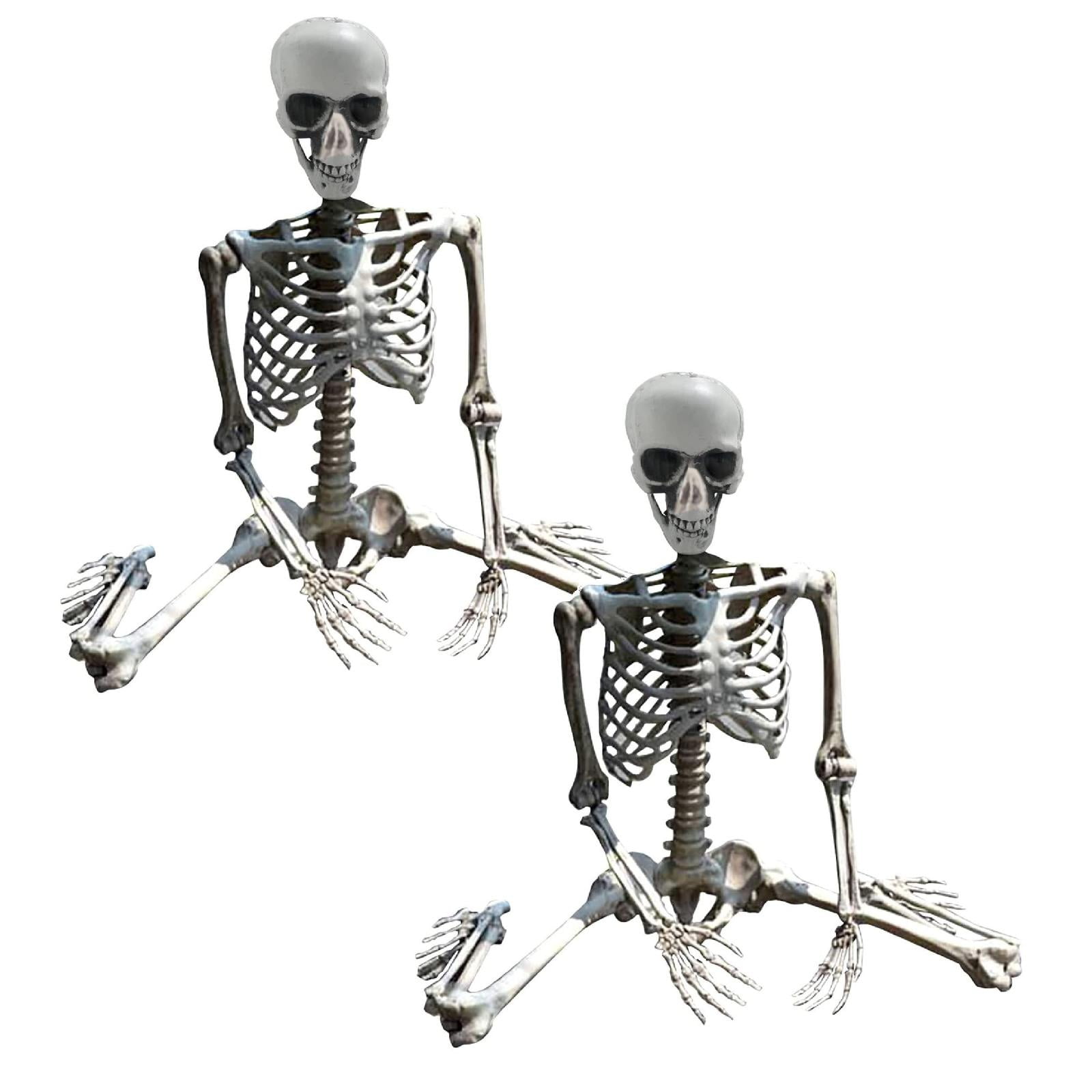 2Pack Halloween Skeleton Prop Deco Halloween Skeleton Life Size Full ...