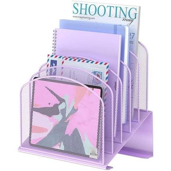 2Pack Inclined Desk File Organizer, 5-Section Vertical File Folder ...