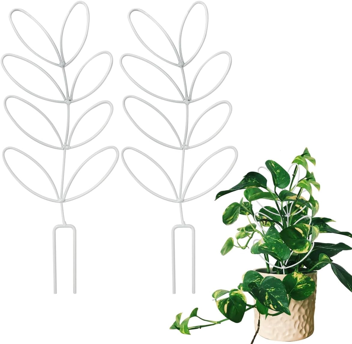 2Pack Indoor Plant Trellis Metal Wire Garden Trellis ，Small Climbing ...