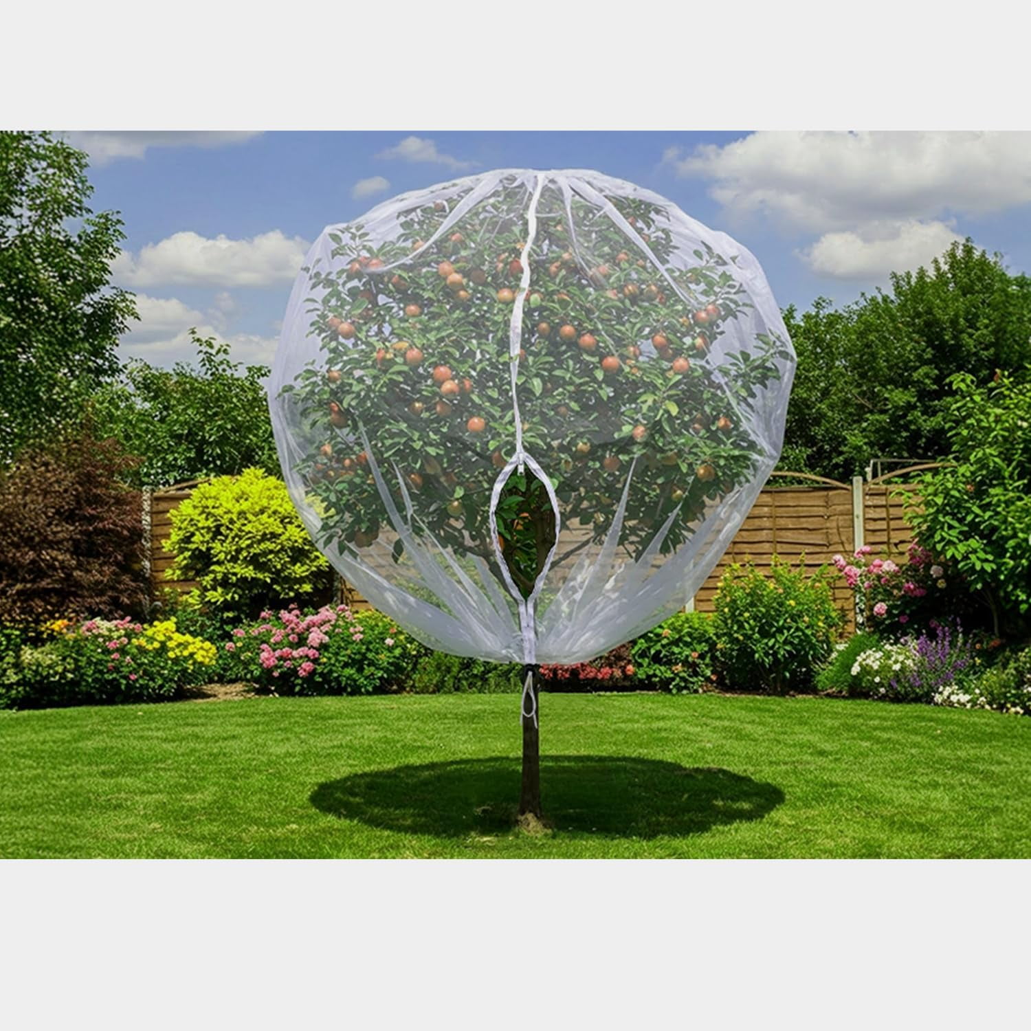 2Pack Large Fruit Tree Netting Protect Tomato Blueberry Bushes ...