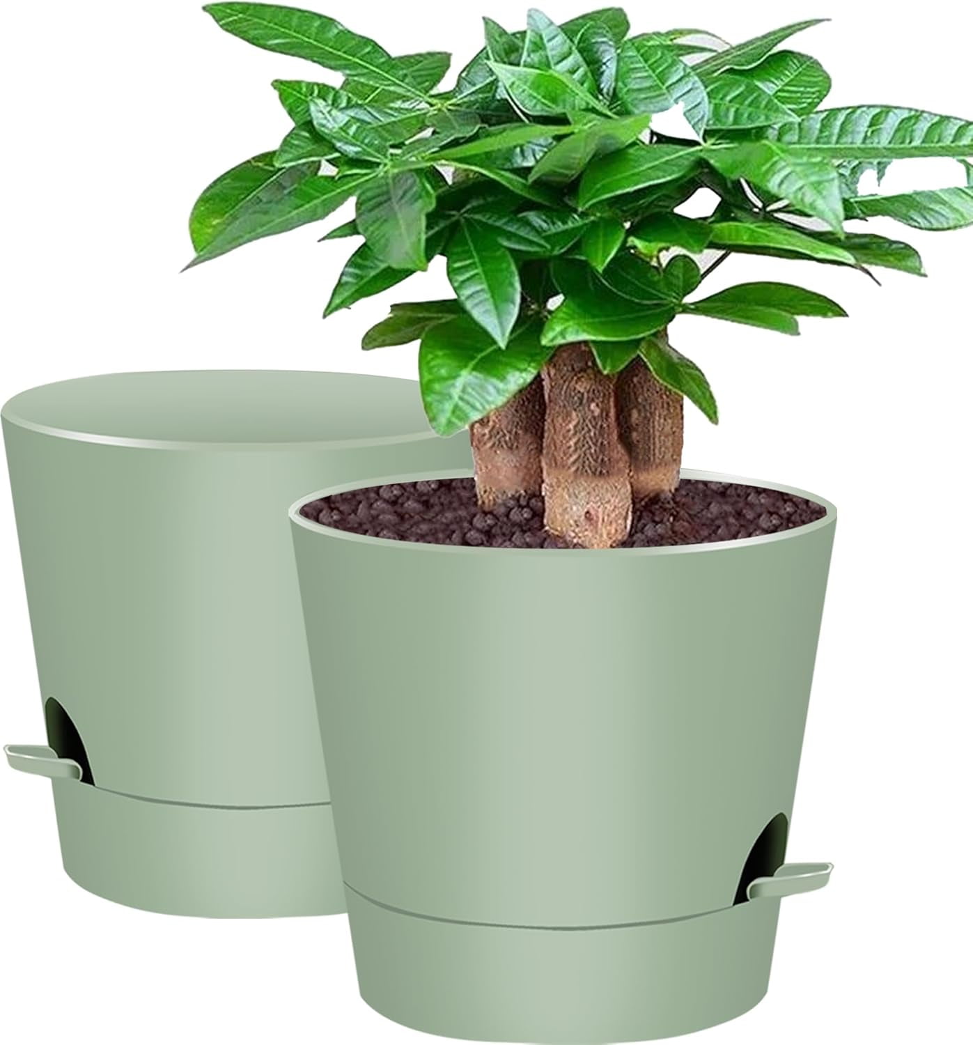 2Pack Self Watering Pots Indoor Plants 12 Inch Planters Plastic Flower ...