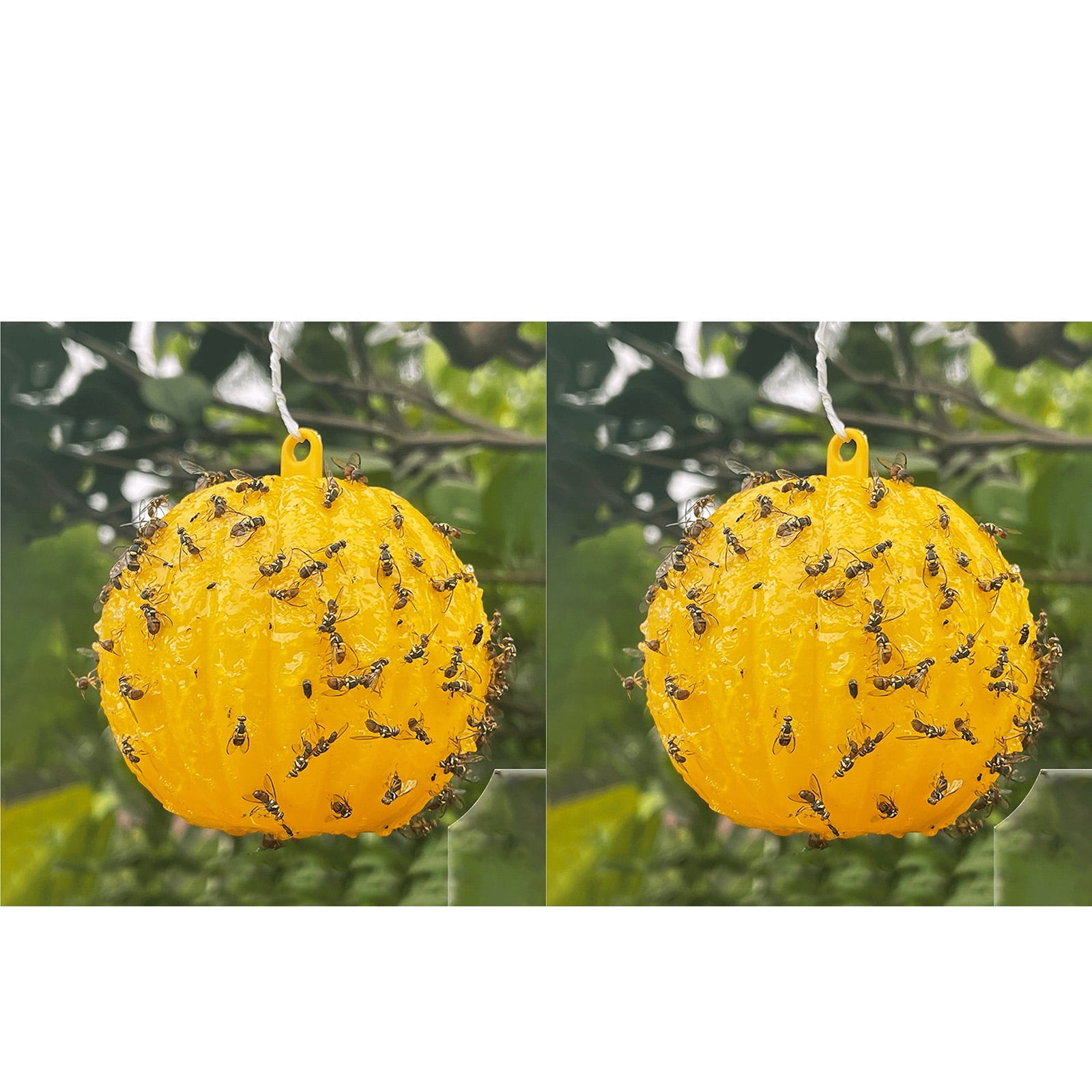 2Packs Fruit Fly Trap Outdoor Hanging Sticky Fly Stick Wasp Trap Bee ...