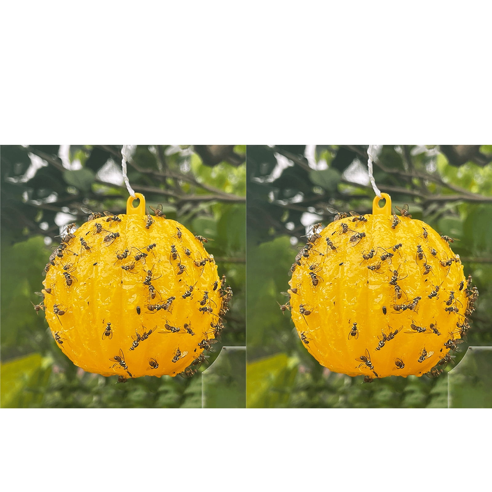2Packs Fruit Fly Trap Outdoor Hanging Sticky Fly Stick Wasp Trap Bee ...