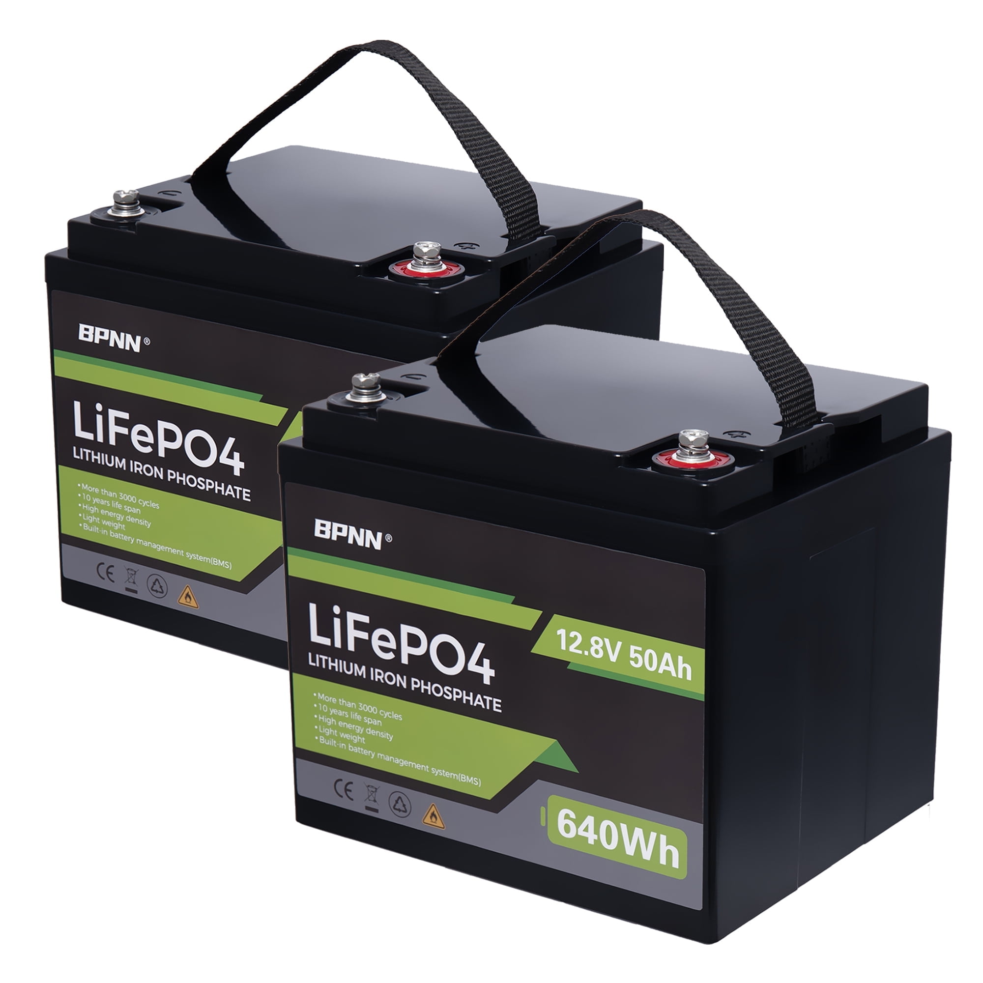 2Packs LiFePO4 12V 50AH Lithium Battery Built-in 50A BMS Battery for ...
