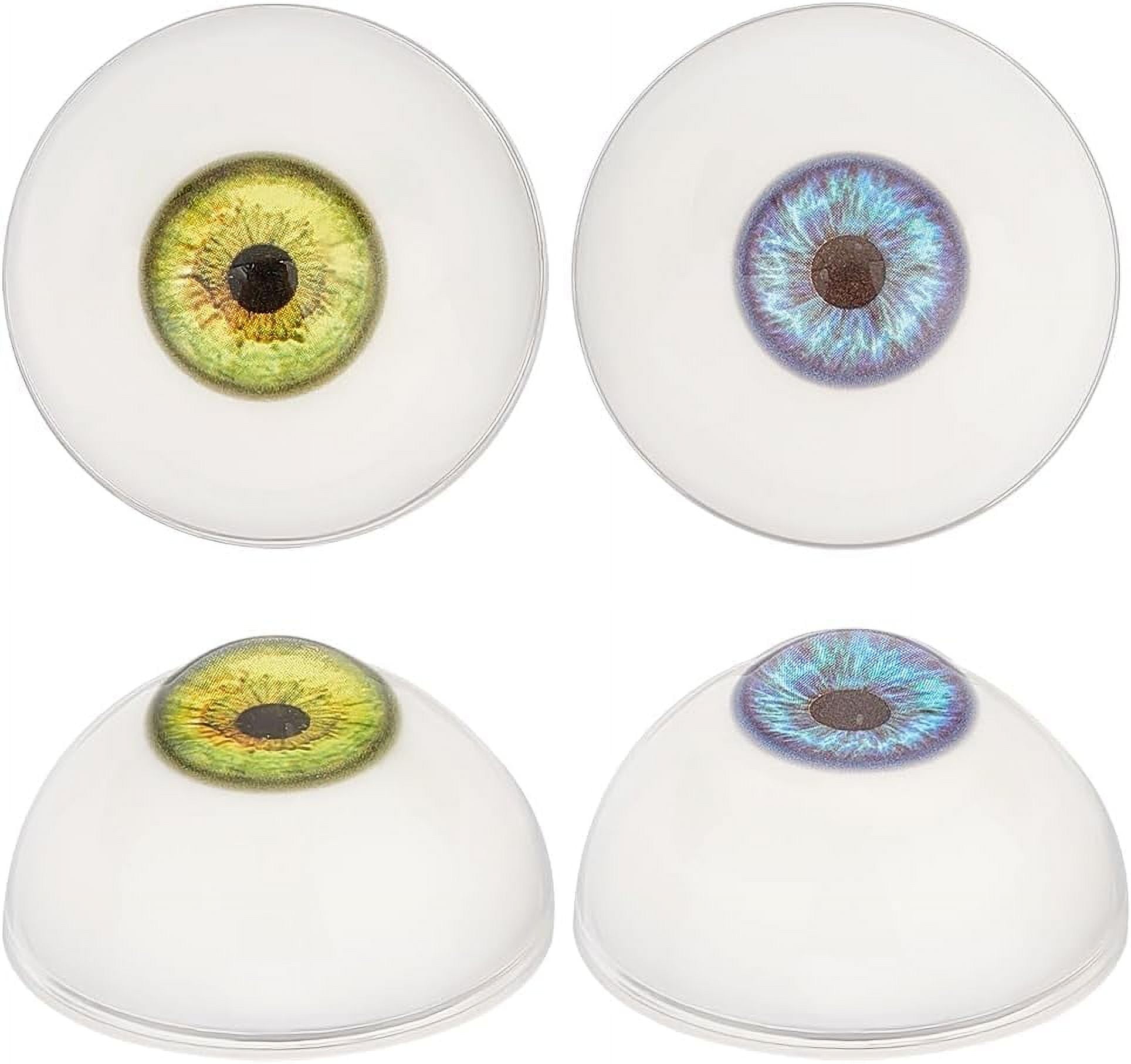 2Pairs of 2 Colors Scary Eyeballs 1.25 Inch Half Round Resin Craft Eyes ...