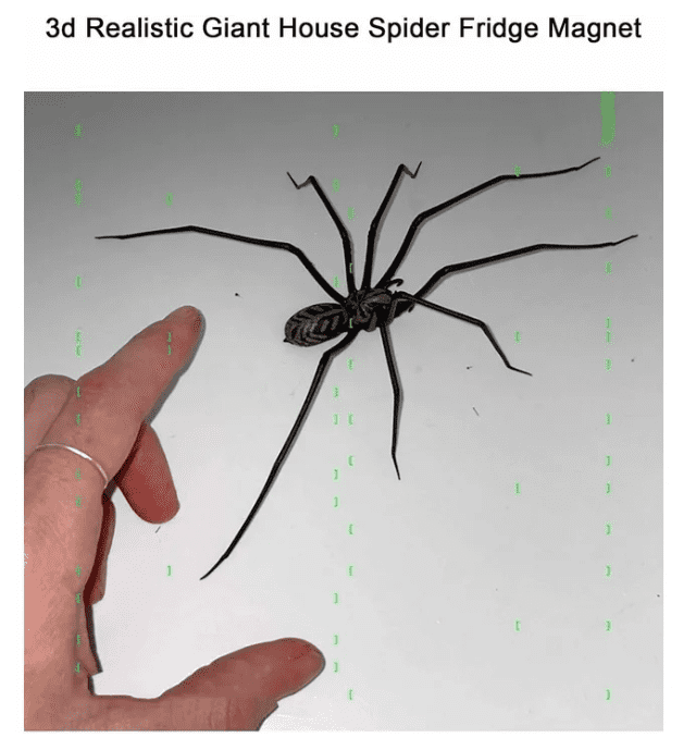 2Pcs 3.94 Inch Spider Refrigerator Sticker,Realistic Spider Magnet ...