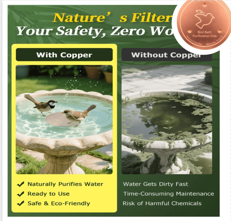 2Pcs 3.9inch Bird Bath Copper Disk, 99.99% Pure Copper Disk with Triple ...