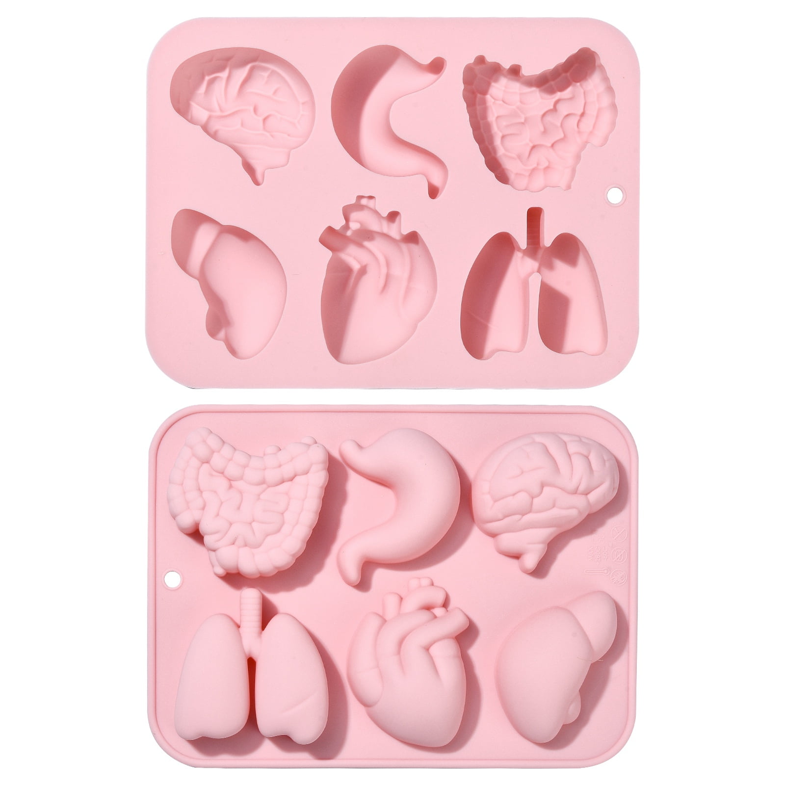 2Pcs 3D Human Organ Silicone Molds Realistic 6 Cavity Organ Shapes ...