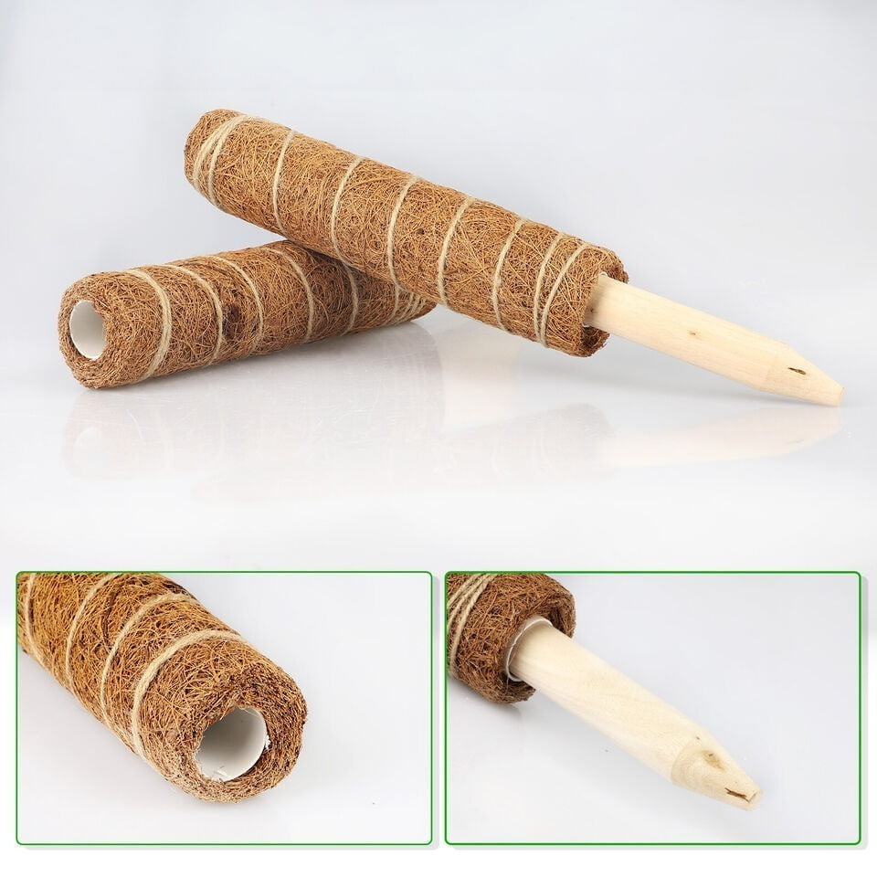 2Pcs 45cm Plant Climbing Vine Coconut Palm Stick Grow Upward Plant ...