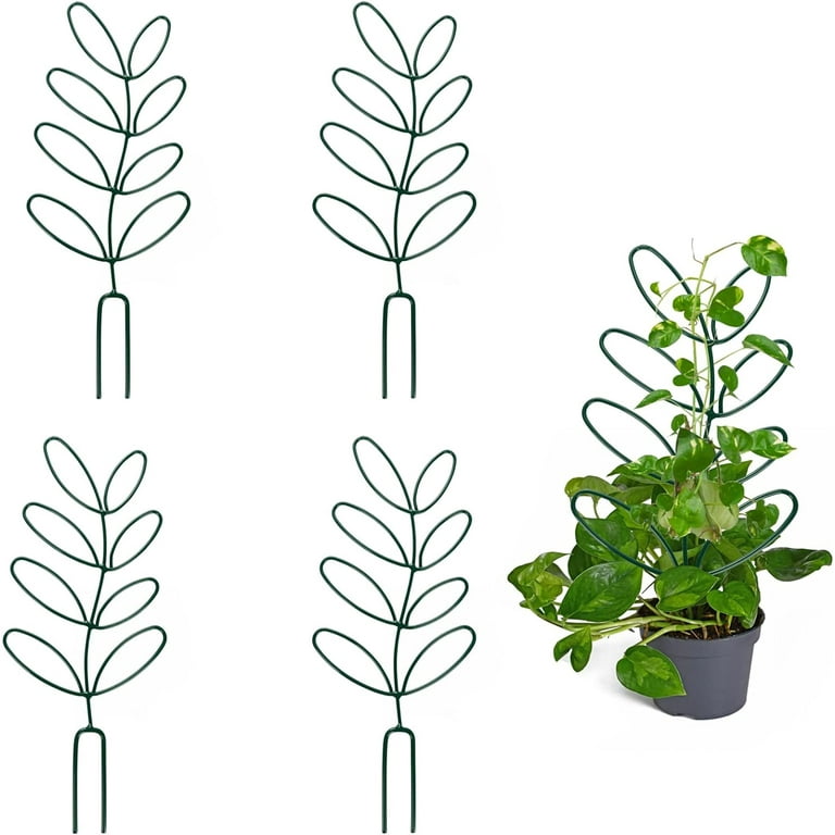 decorative leaf trellis