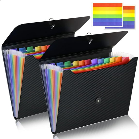 2Pcs Accordian File Organizer Expanding File Folder, 13 Pockets File ...