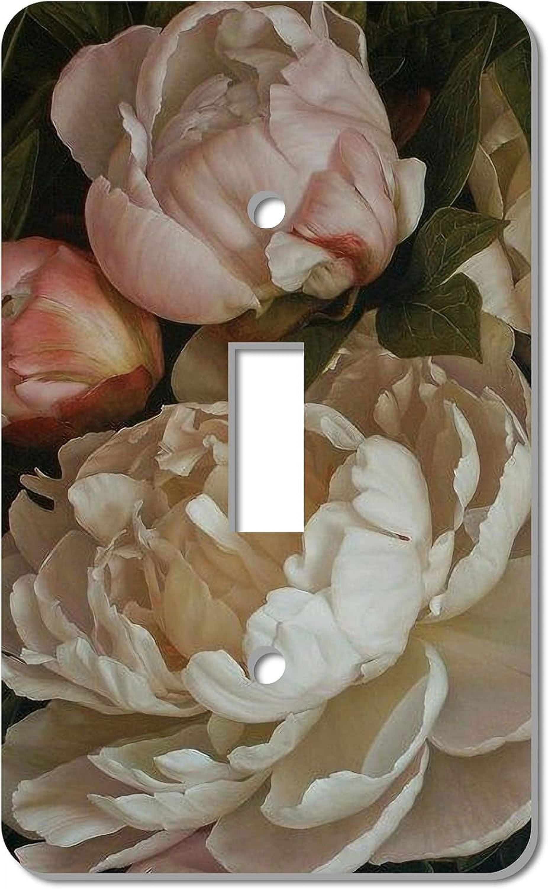 2Pcs Acrylic Light Switch Plate Outlet Covers with Iron Screws Wall ...
