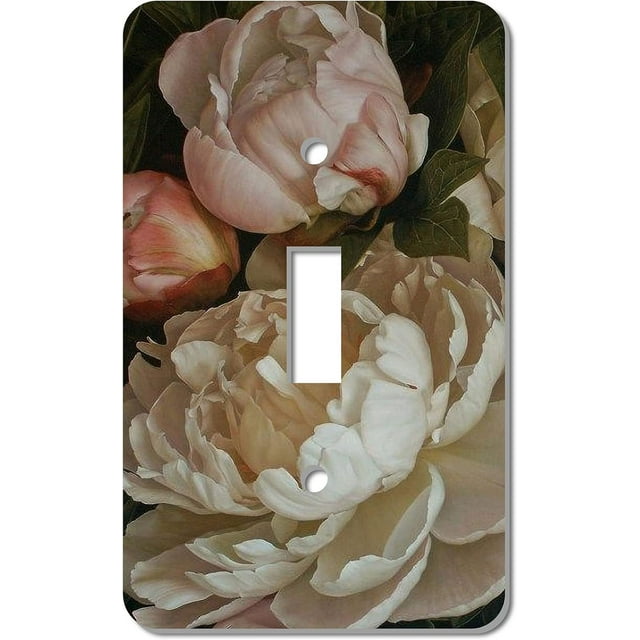 2Pcs Acrylic Light Switch Plate Outlet Covers with Iron Screws Wall ...