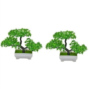 Artificial Bonsai Trees