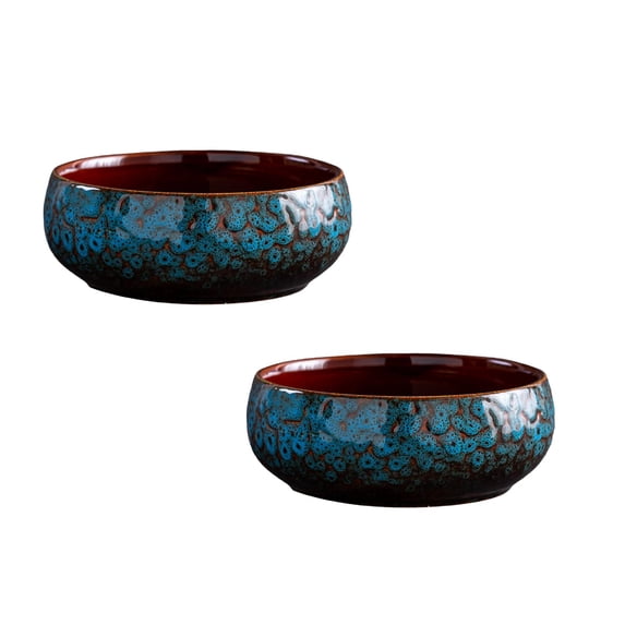2Pcs Bowl Planter Ceramic Flower Bowl Bowls For In Water Indoors Pots ...