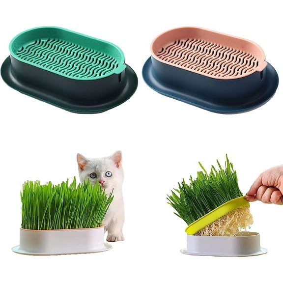Hydroponic Grass Grow Kit - Soilless Planter for Cat Grass, Wheatgrass ...