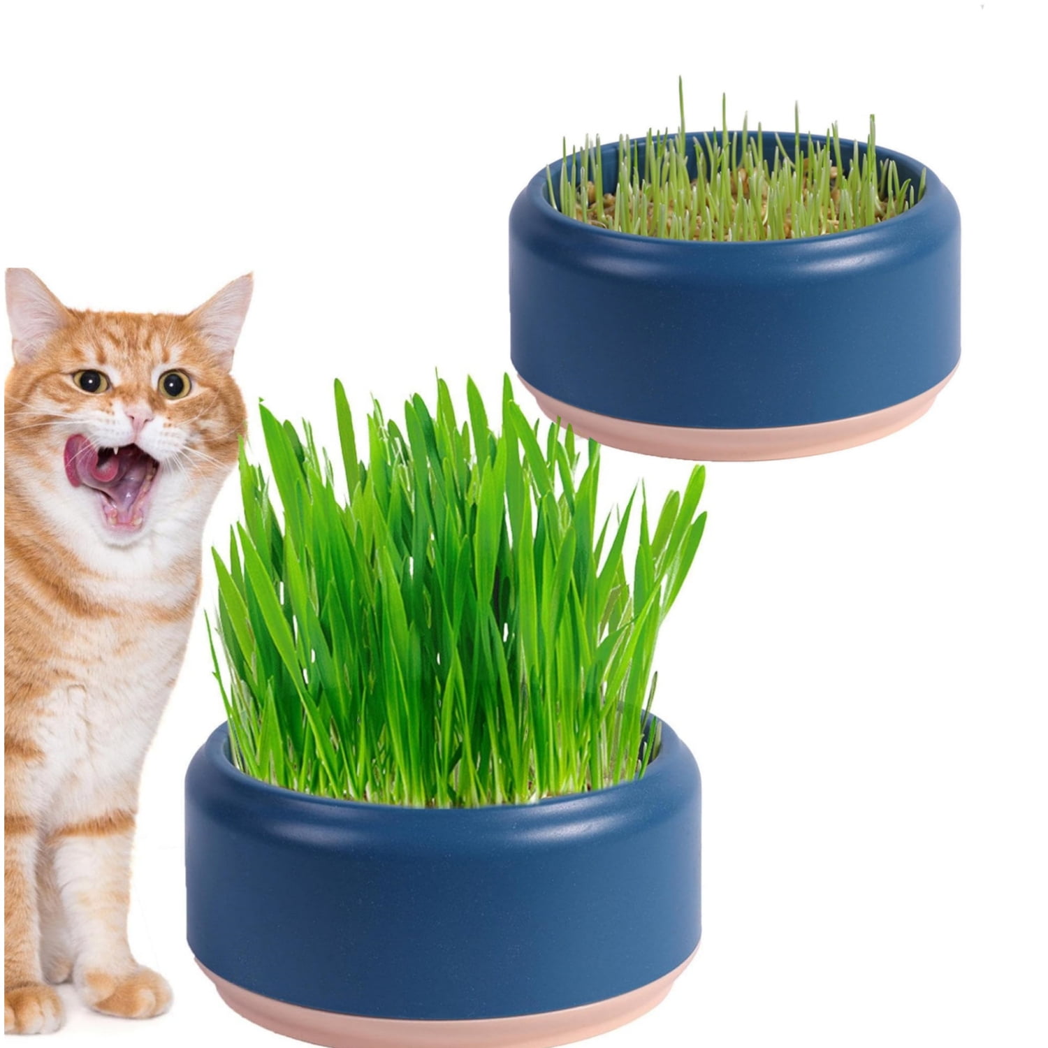 2Pcs Cat Grass Seed Sprouting Tray,Blue Hydroponic Cat Grass Planter,Cat Grass Kit,Soilless ...