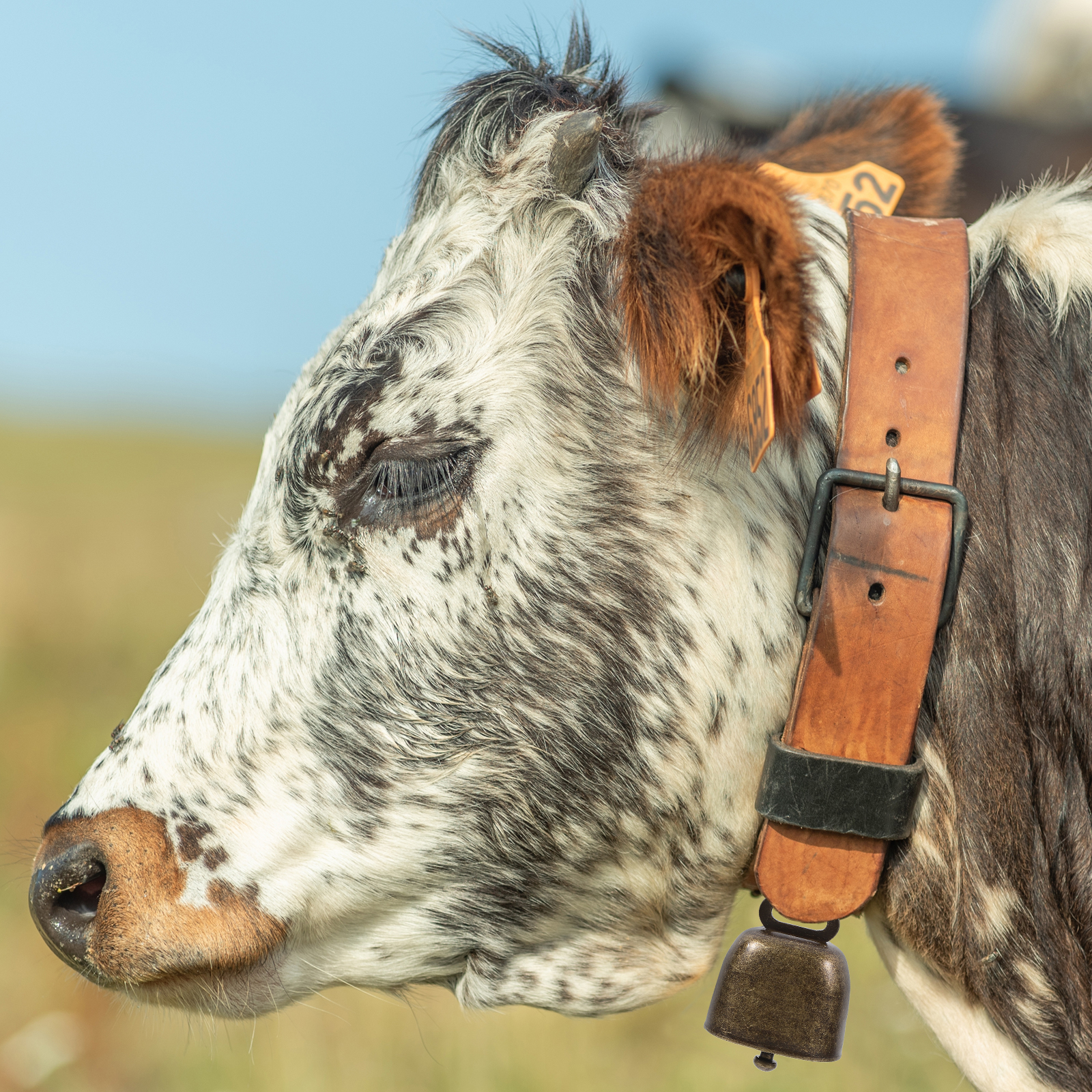 2Pcs Cow Horse Sheep Grazing Copper Bells Noise Makers Bell Wind Chime ...