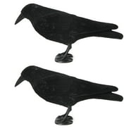 Navaris Crow Decoy - Fake Black Crow Decoy for Attracting Crows ...