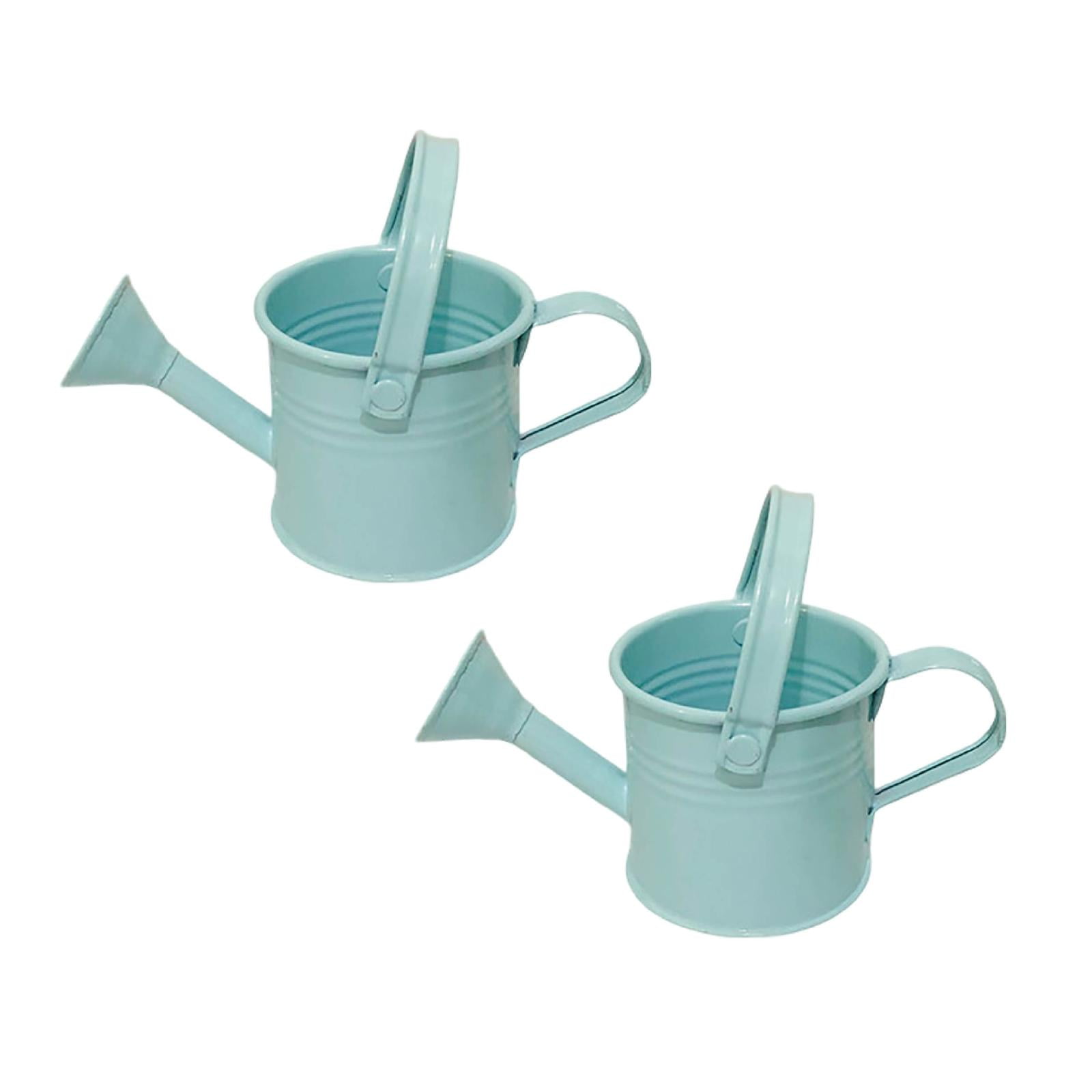 2Pcs Galvanized Shower Bucket Tinplate Kettle Small Flower Pot Suitable ...