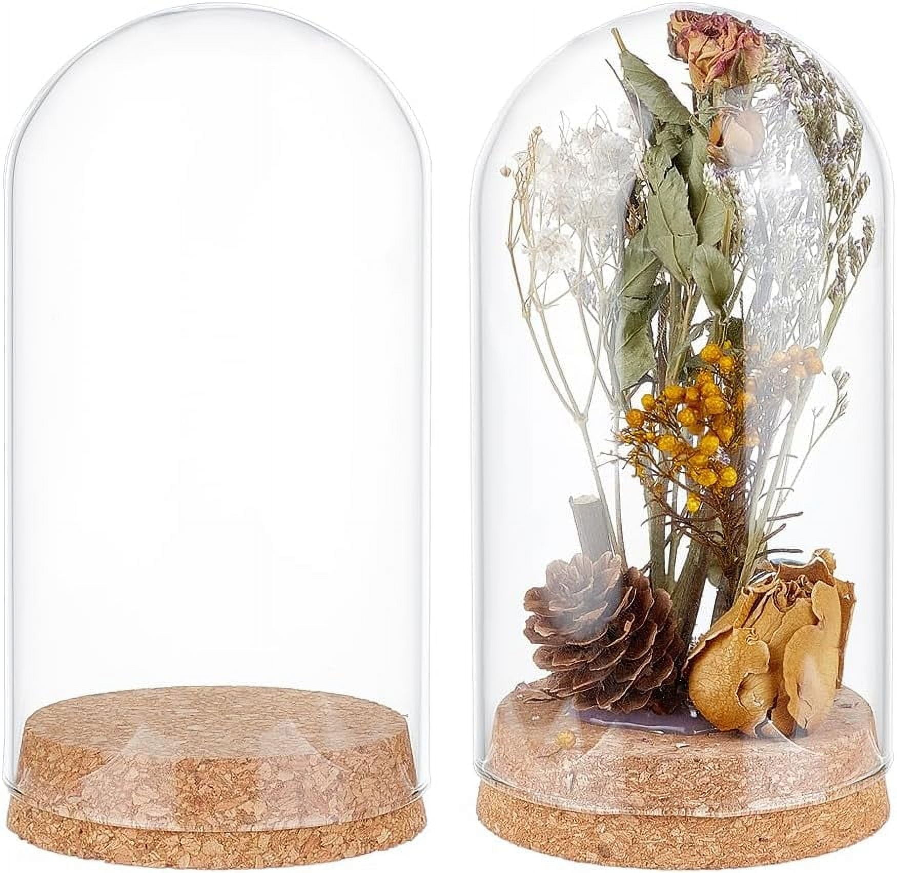 2Pcs Glass Decorative Dome 6.3x3.2 Inch Glass Dome Cloche with Cork ...