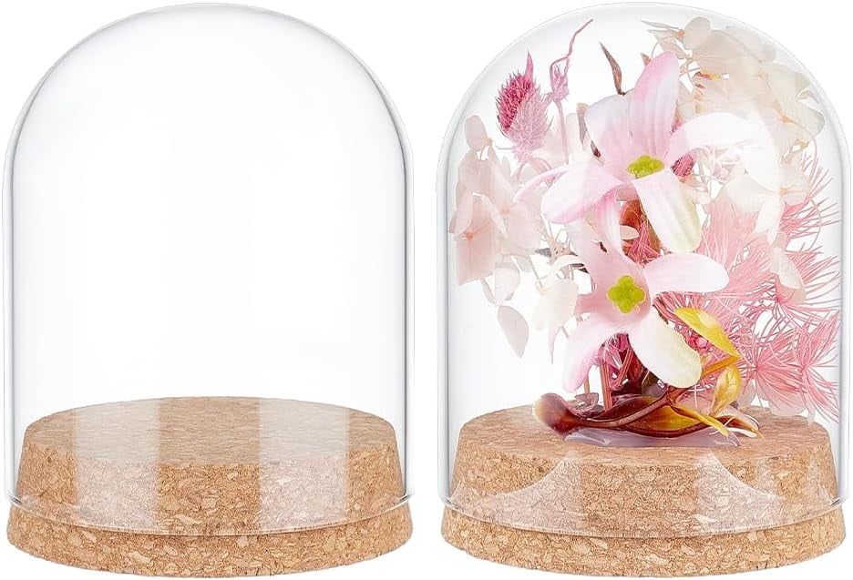 2Pcs Glass Display Dome Cloche 4.2x3.2 Inch Bell Glass Jars with Cork ...