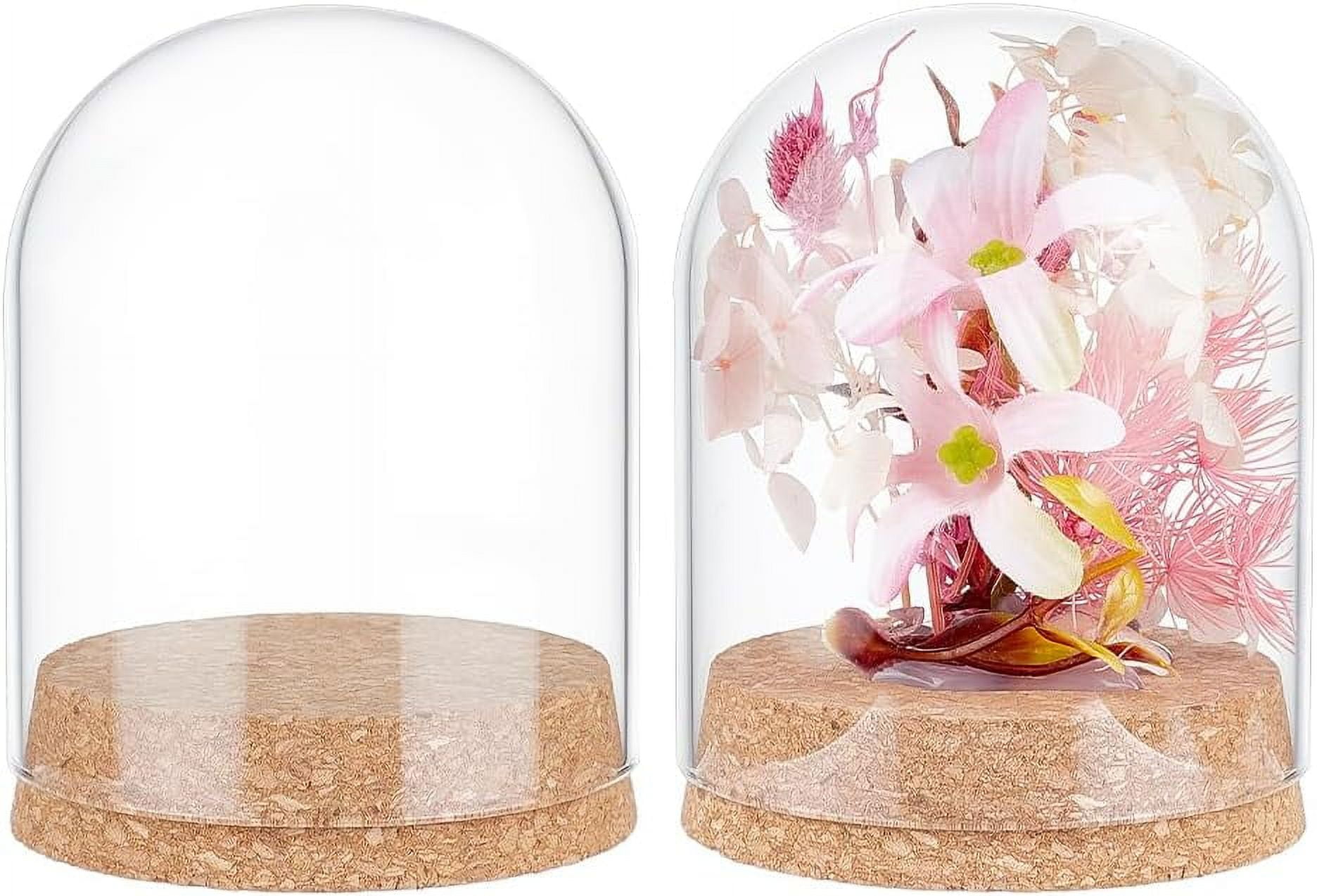 2Pcs Glass Display Dome Cloche 4.2x3.2 Inch Bell Jar With Cork Base ...