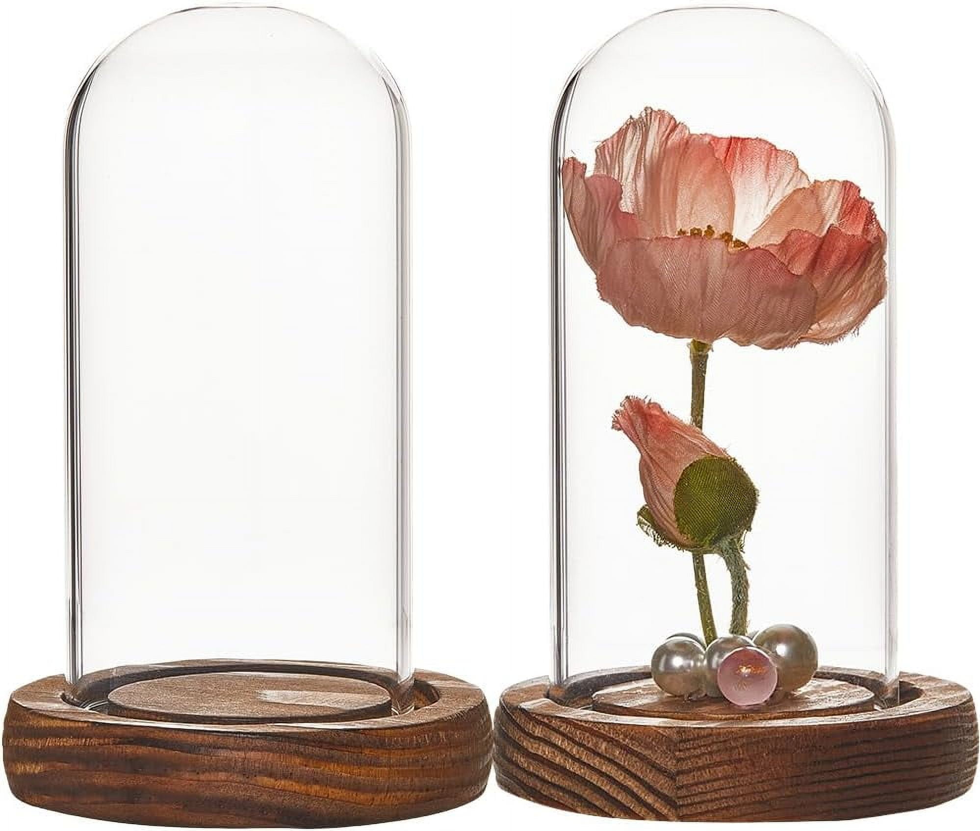 2Pcs Glass Dome Cover 82x133mm Glass Display Dome Glass Domes with Wood ...