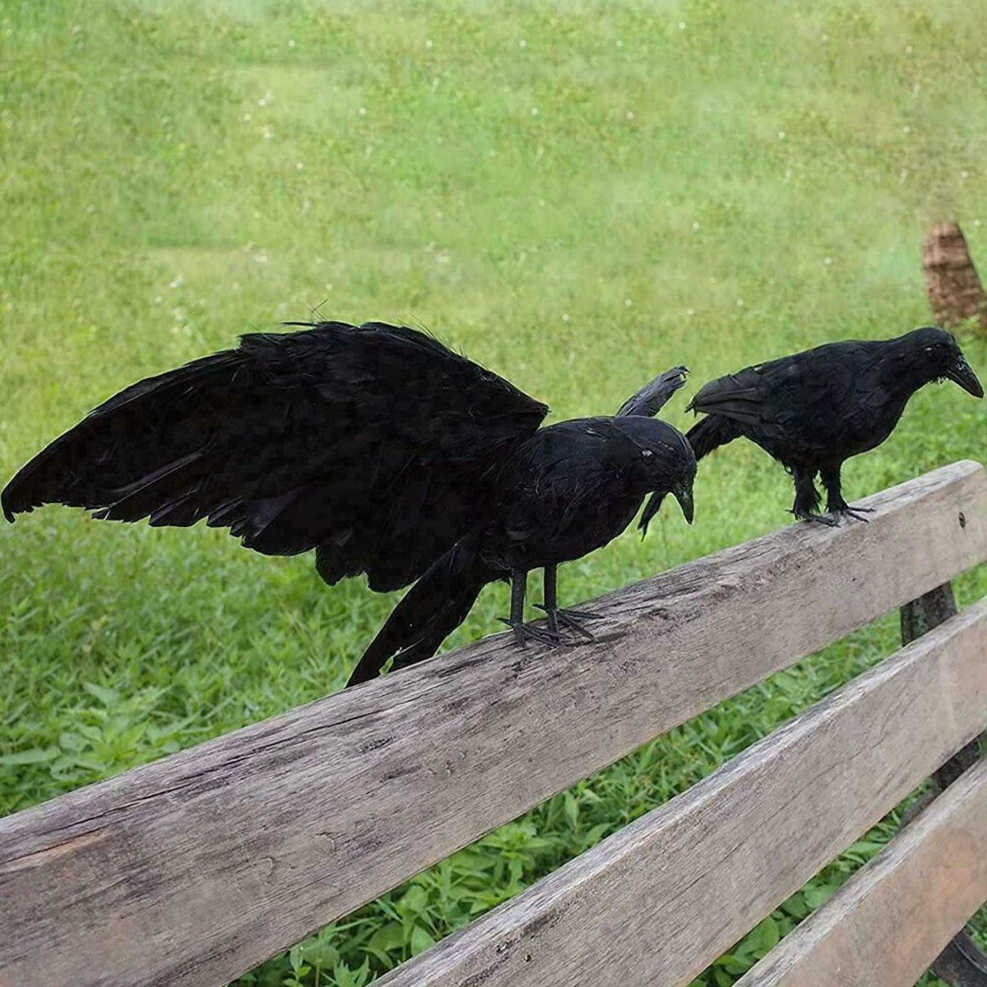 2Pcs Halloween Crow Prop Large Realistic Raven Feathered Spooky Party ...