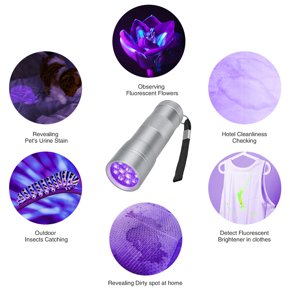 Handheld Blacklight