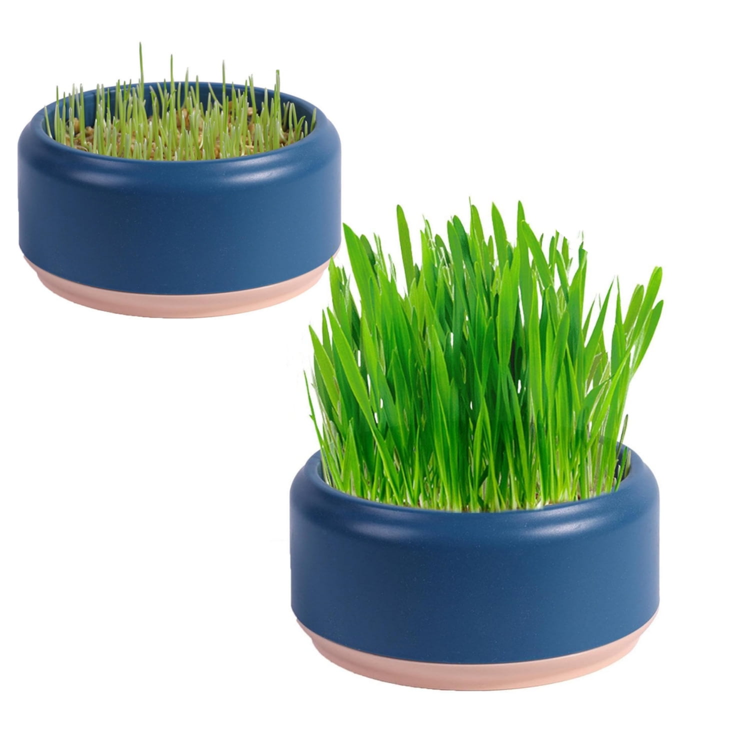 2Pcs Hydroponic Cat Grass Planter Kit,Blue Soilless Culture Cat Grass ...
