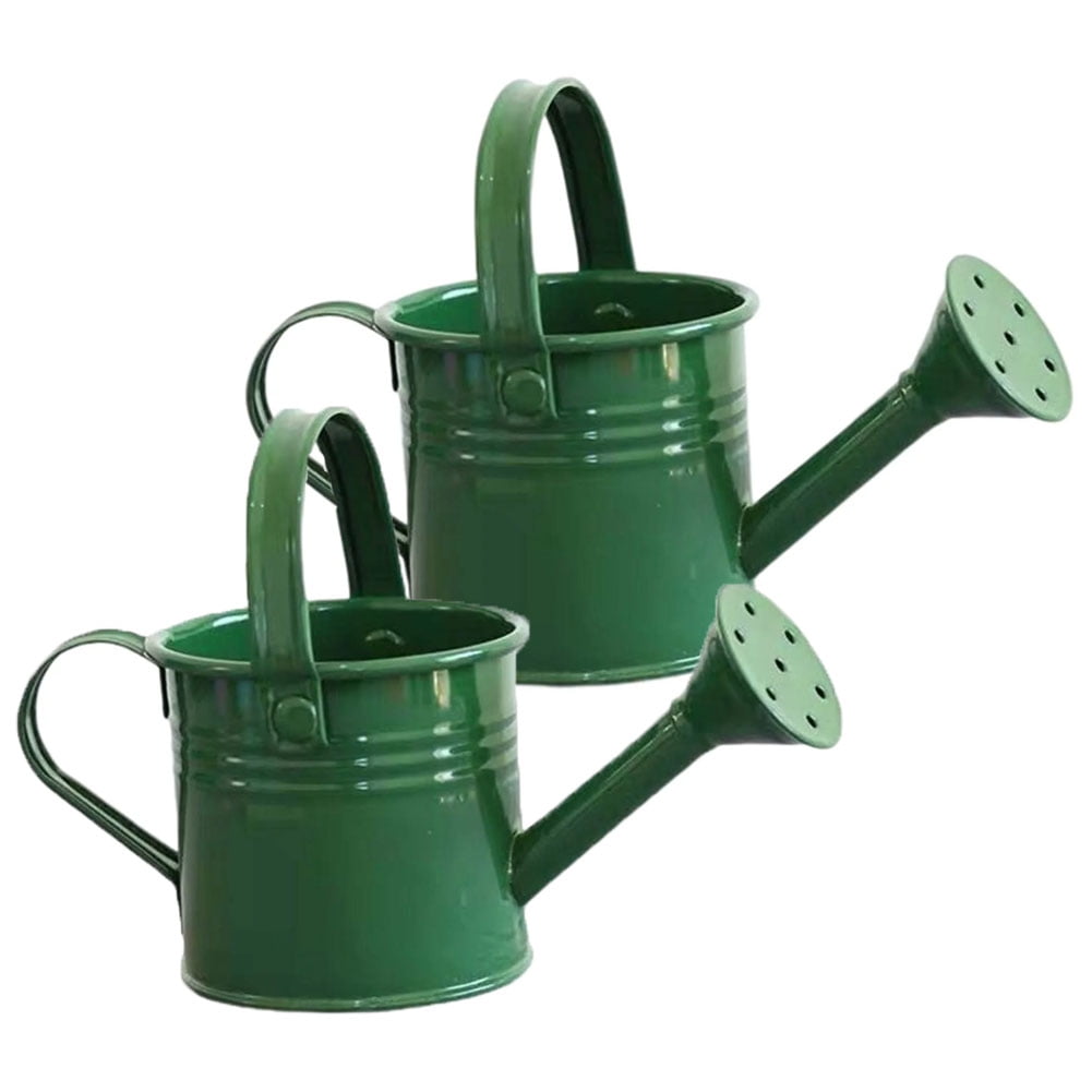 2Pcs Kids Watering Pot Metal Waterbottle Creative Watering Tin Small ...
