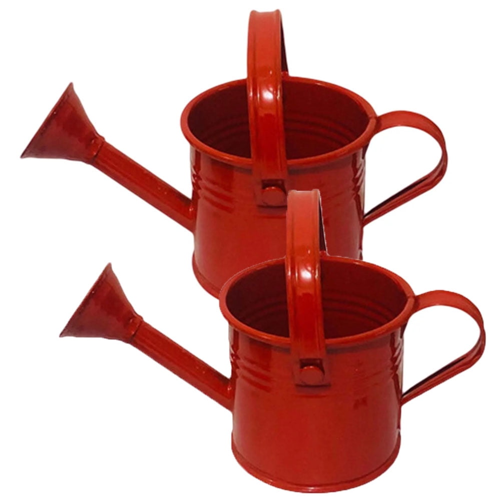 2Pcs Kids Watering Pot Metal Waterbottle Creative Watering Tin Small ...