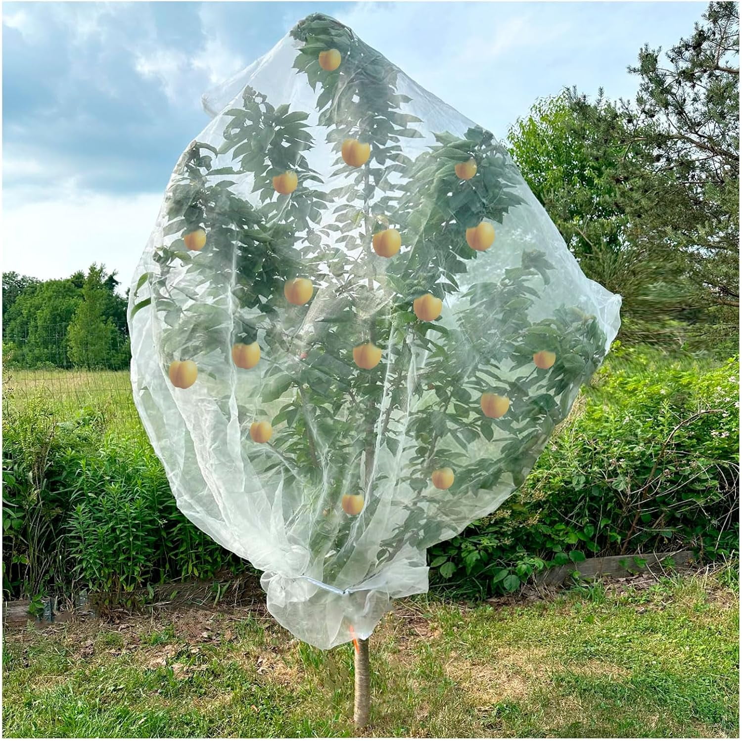 2Pcs Large Bird Barrier Netting Mesh, Garden Netting with Zipper and ...