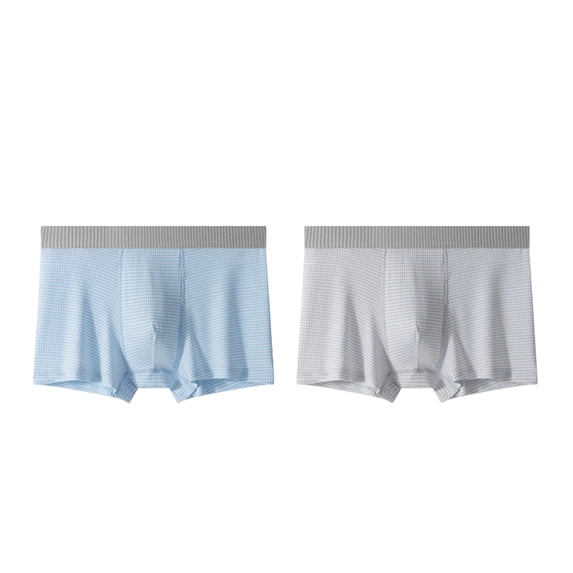 2Pcs Men's Underwear Thin Summer Boxer Briefs Breathable Stretch Trunks ...