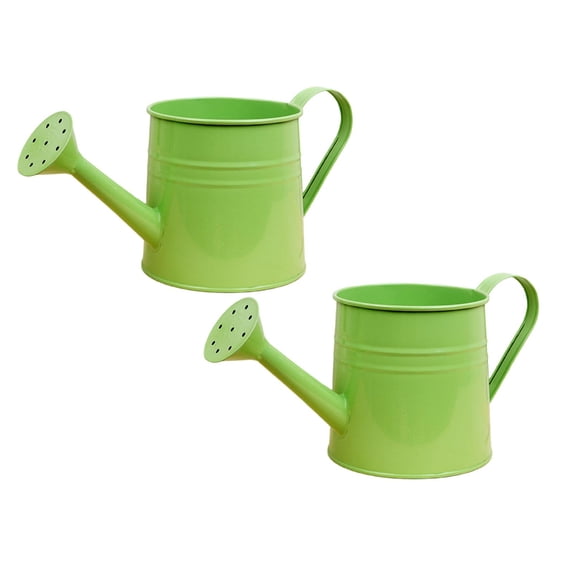 2Pcs Metal Watering Can For Outdoor Plants, Galvanized Steel Watering ...