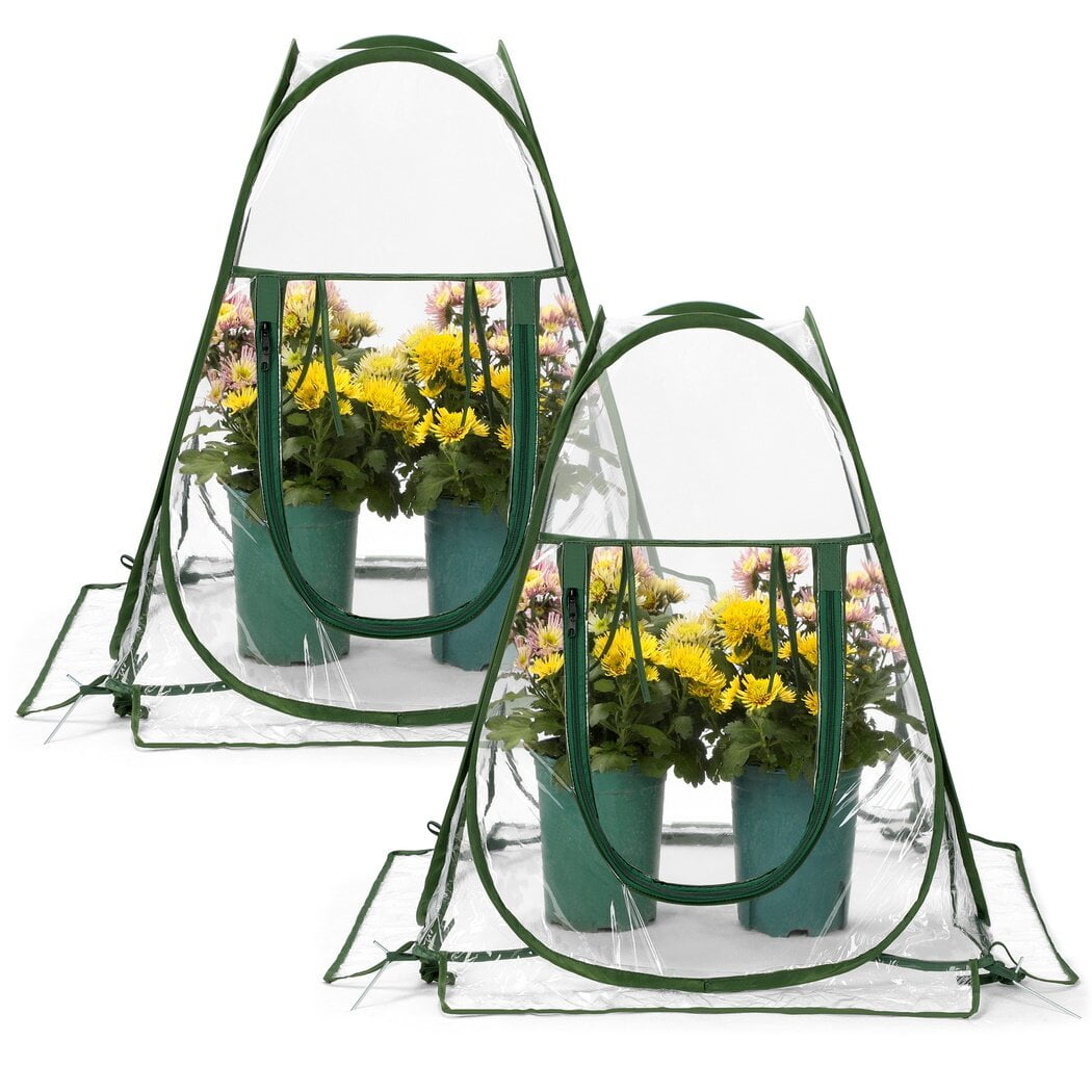 2Pcs Mini Plants Greenhouse, Portable PVC Flowers Tent , Pop Up ...