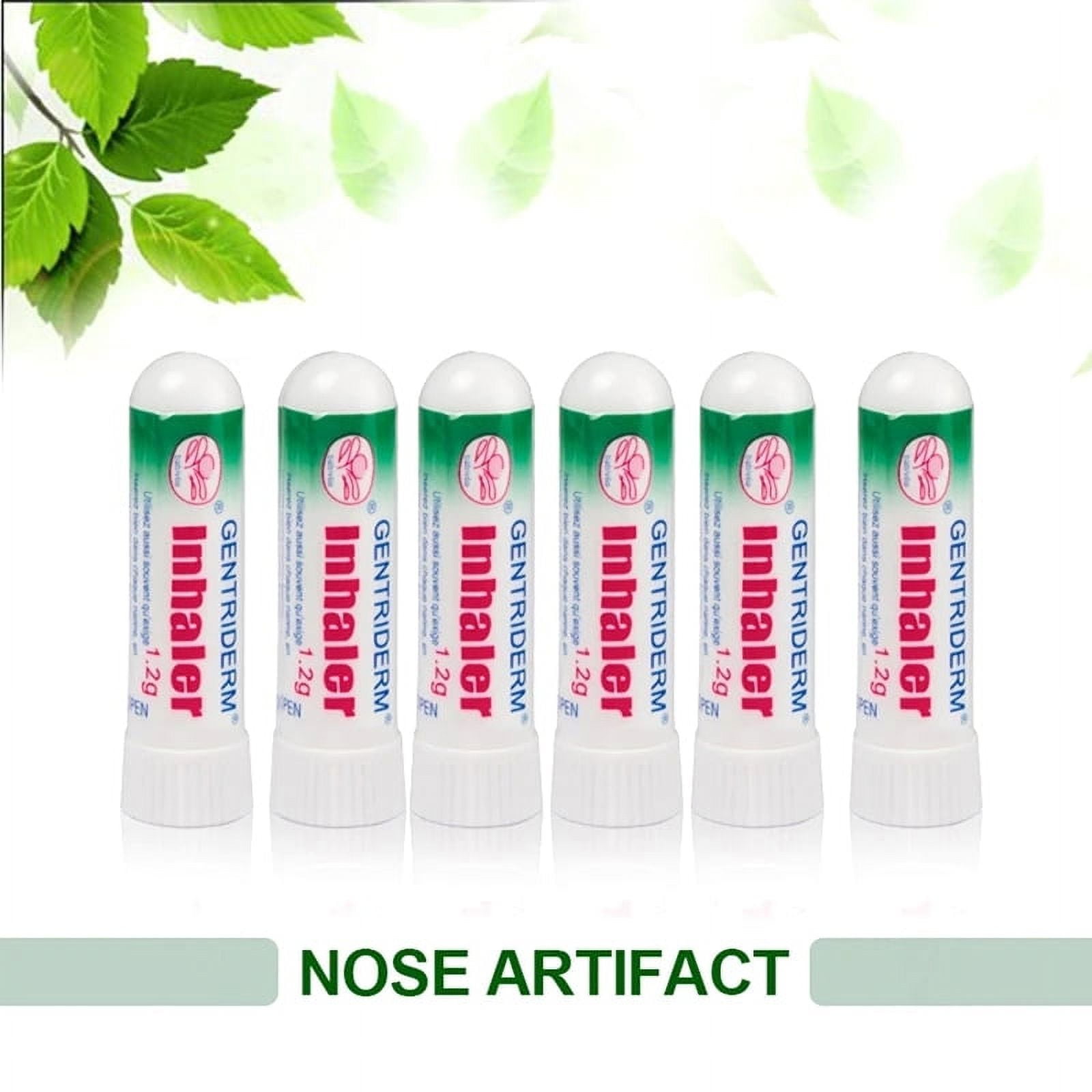 2Pcs Mint Cylinder Nasal Inhaler Refresh Brain Anti Stuffy Rhinitis ...
