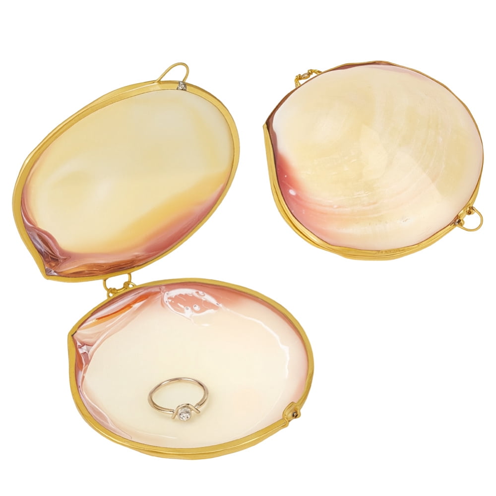 2Pcs Natural Shell Ring Storage Display Cases Shell Shape with Golden ...