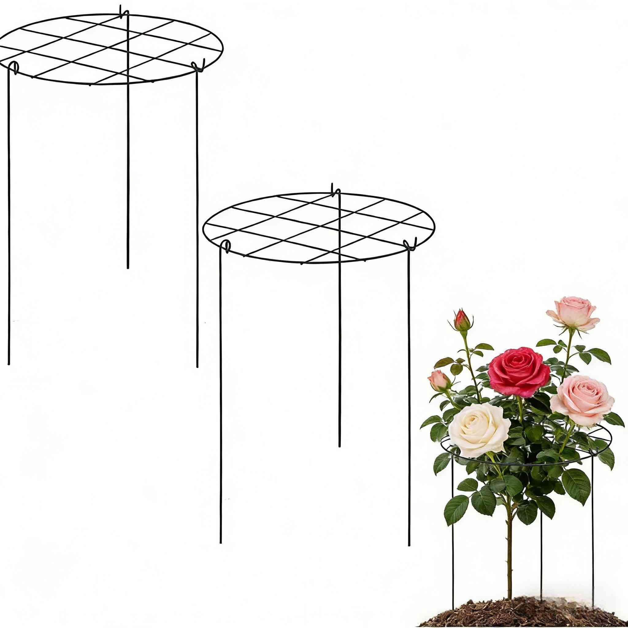 2Pcs Peony Support Cage Grow Through Plant Supports for Rose, Tomato ...