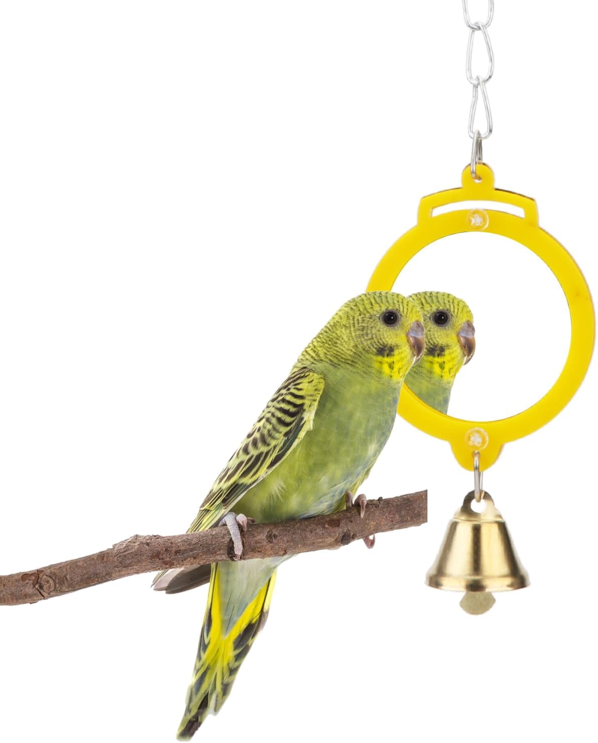2Pcs Pet Bird Mirror with Bell Interactive Treat Puzzle Parrot Toy Bird ...